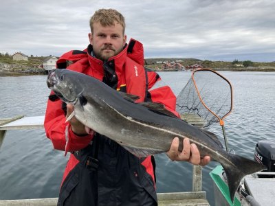 Reisebericht Hitra/Knarlagsund August/September 2021 | Angeln in ...