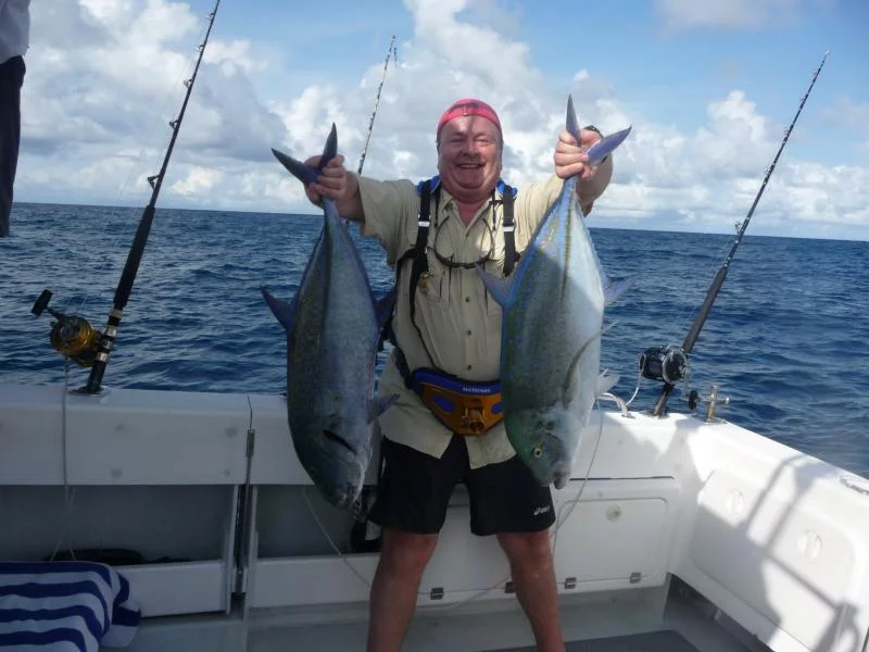 Bluefin Jacks oder auch Bluefin Trevally oder auch Bluefin Kingfish ...